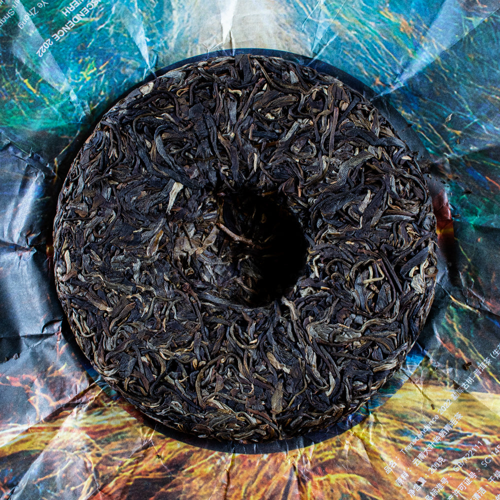 Transcendence 2022 (Raw Pu'erh) – Tea Angle