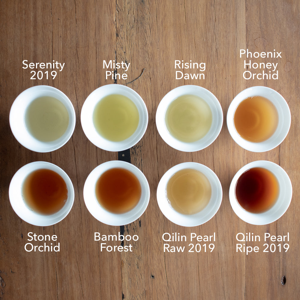 Tea Tasting Sample Pack – Tea Angle