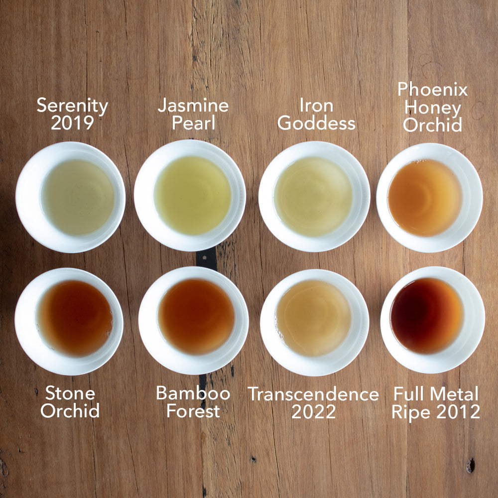 Tea Tasting Sample Pack – Tea Angle