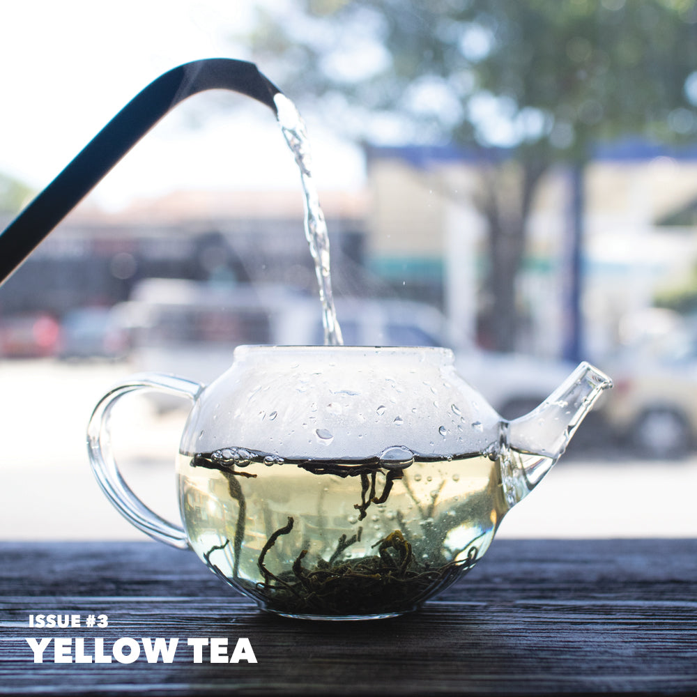 TEA DISCOVERY CLUB – Tea Angle