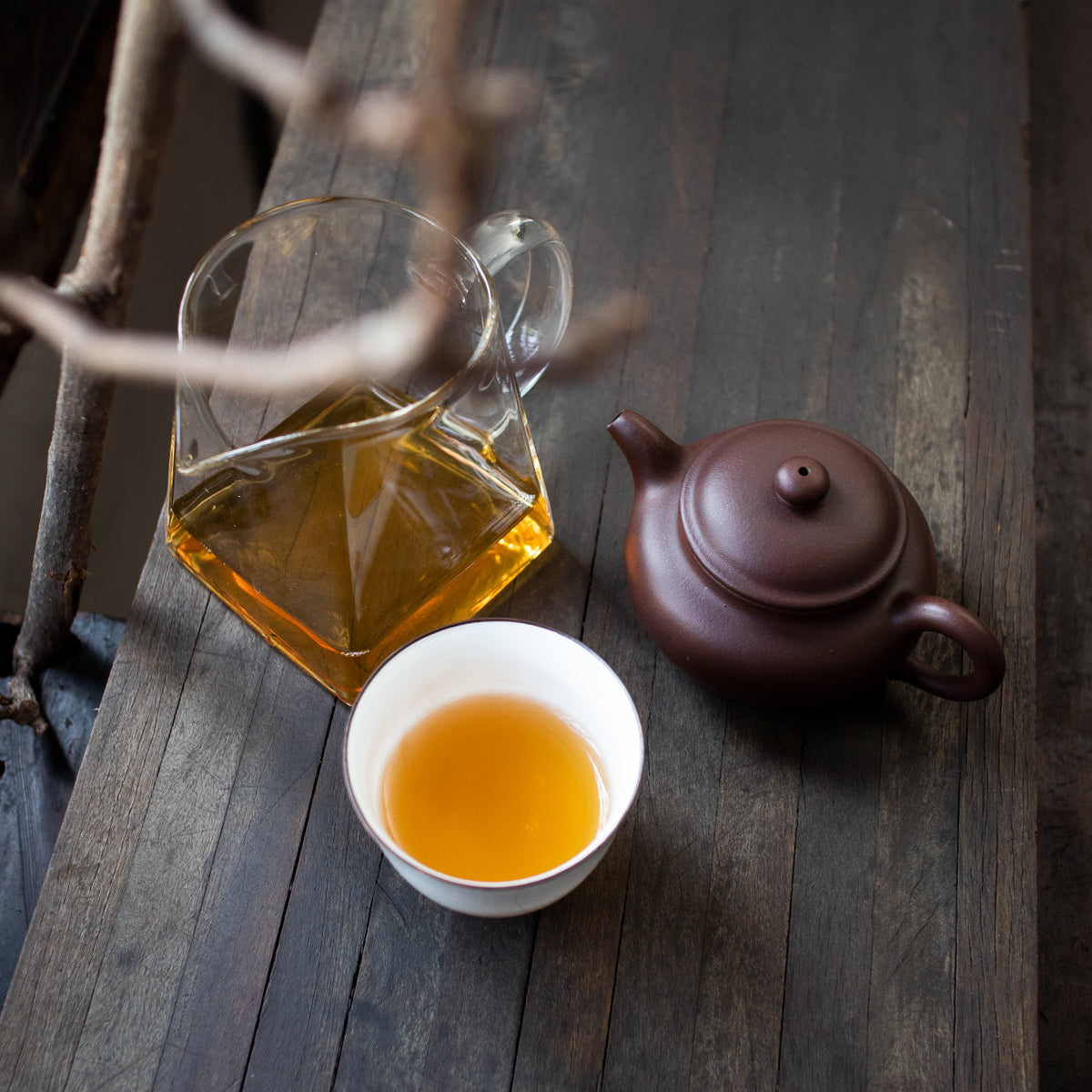 Guided Tea Tasting – Tea Angle