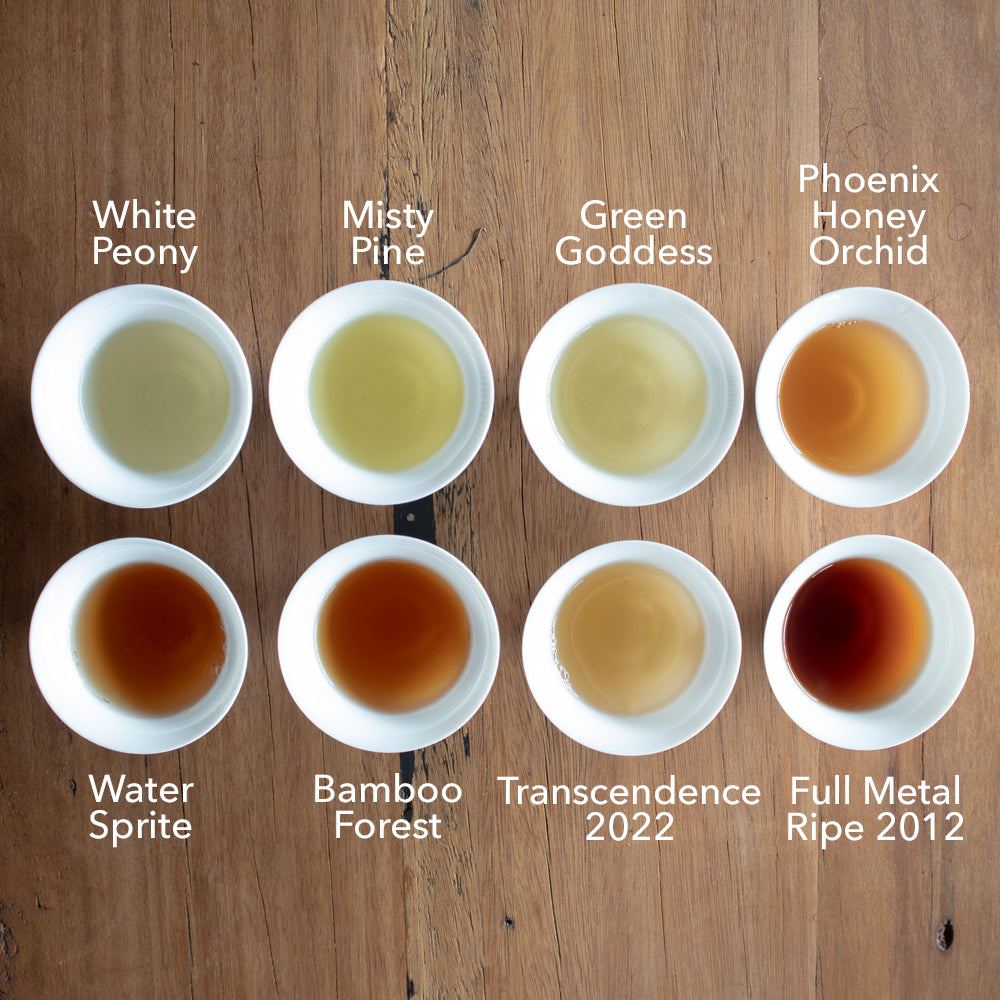 Tea Tasting Sample Pack – Tea Angle